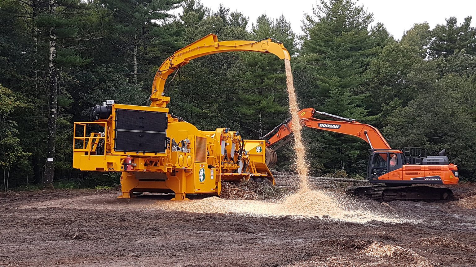 CBI 7544 Flail Debarker & Disc Chipper Combo - Frontline Machinery