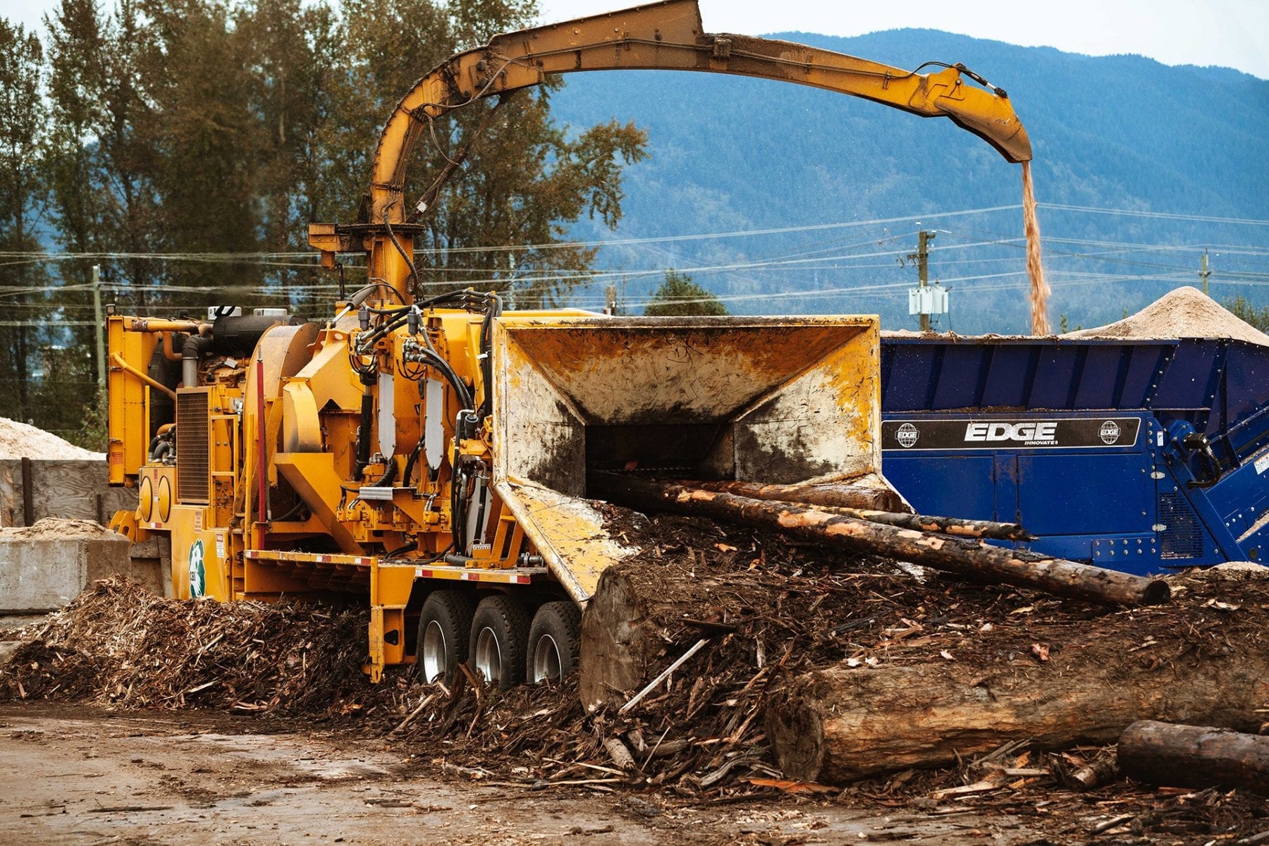 CBI 7544 Flail Debarker & Disc Chipper Combo - Frontline Machinery