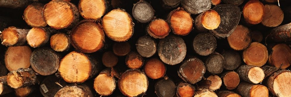 Valiant Log Sort Case Study - Case Study - Frontline Machinery